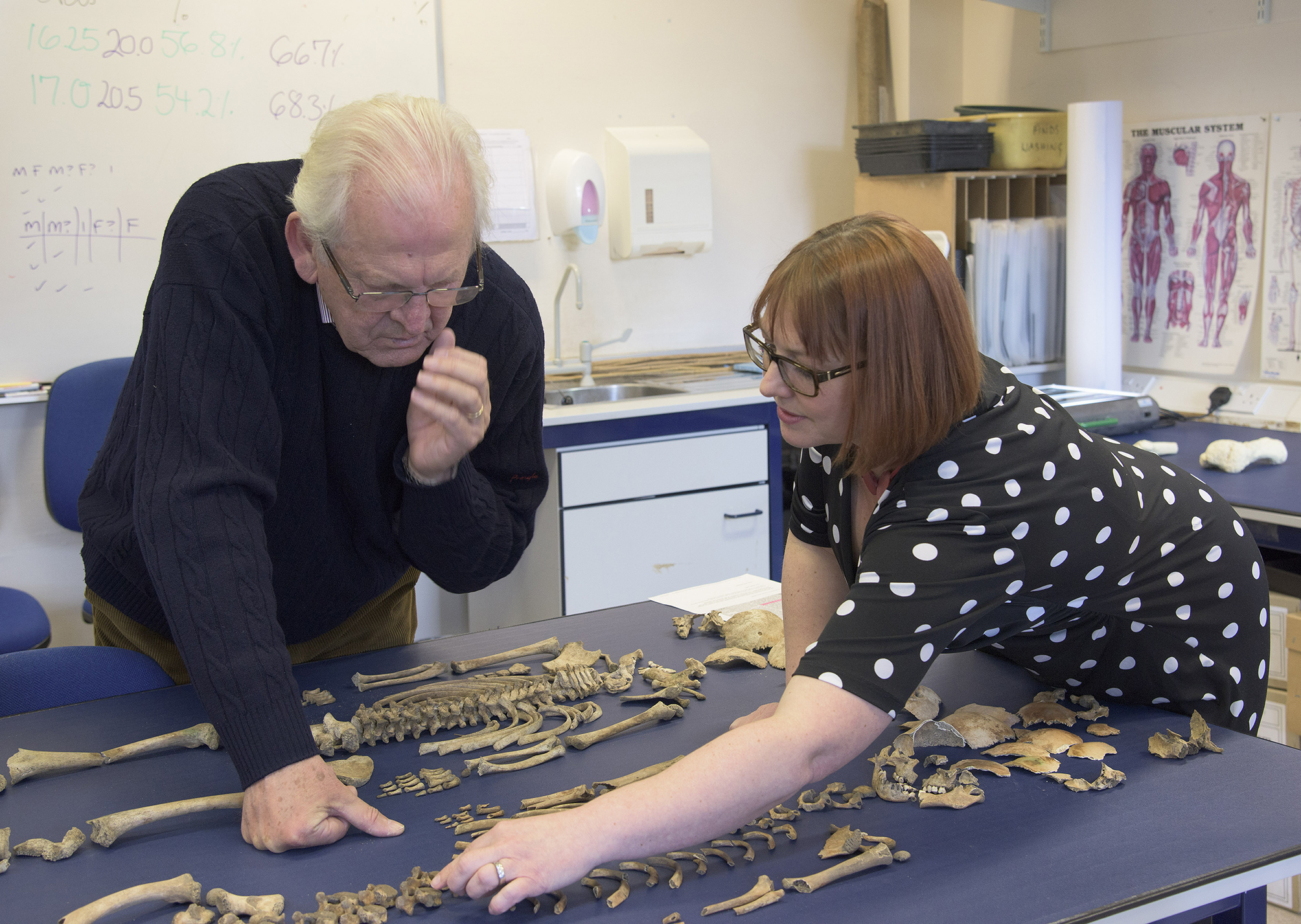 Q&A with Bioarchaeologist Rebecca Gowland - Ripon Museums