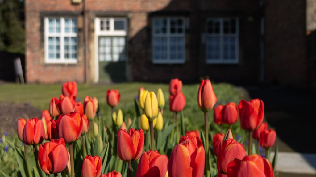 Things to do - Ripon Museums