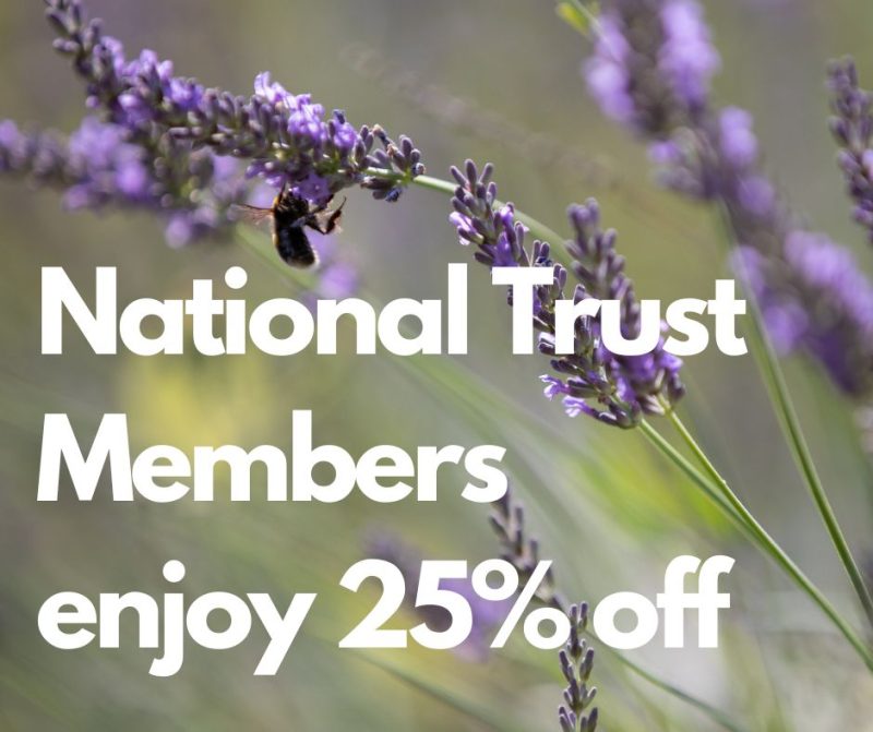 Enjoy 25% off with a National Trust Membership card - Ripon Museums
