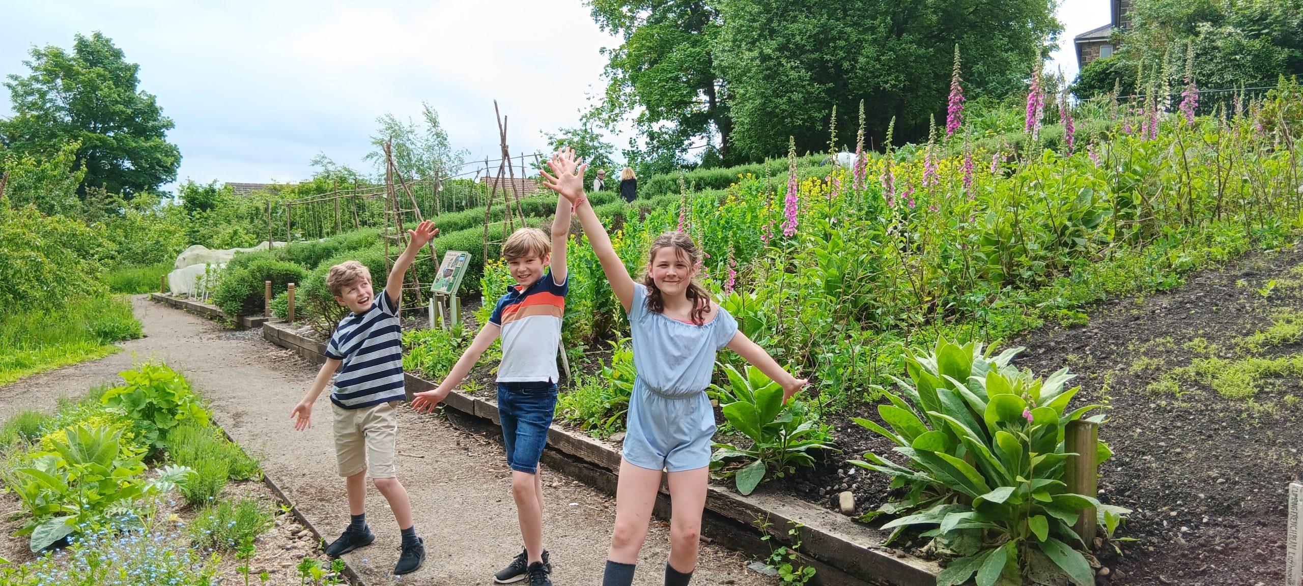 Family visits - Ripon Museums